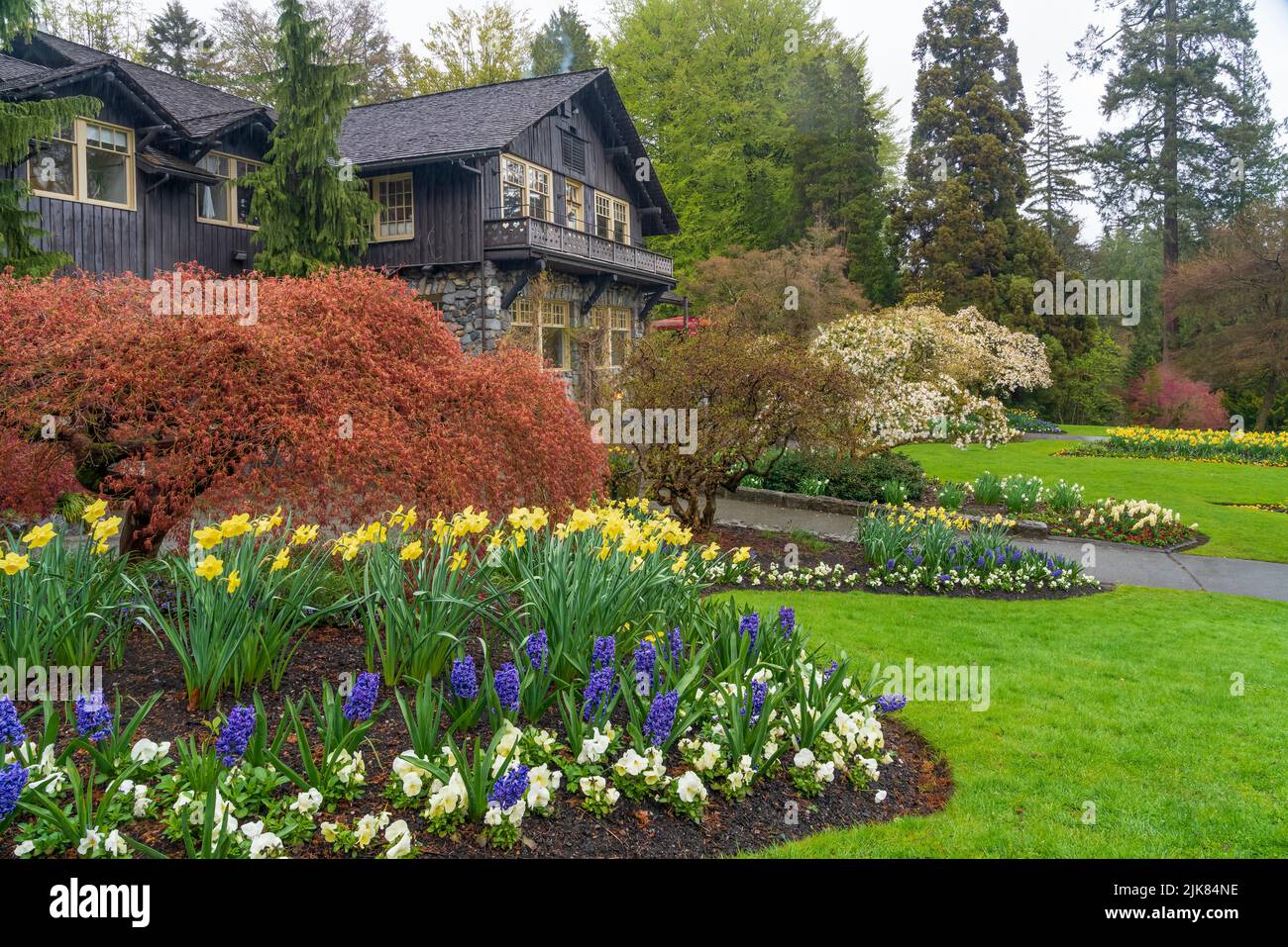 Spring flower gardens in full bloom in Stanley Park, Vancouver, British ...