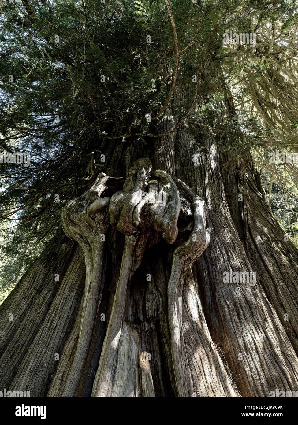 City of grove hi-res stock photography and images - Alamy