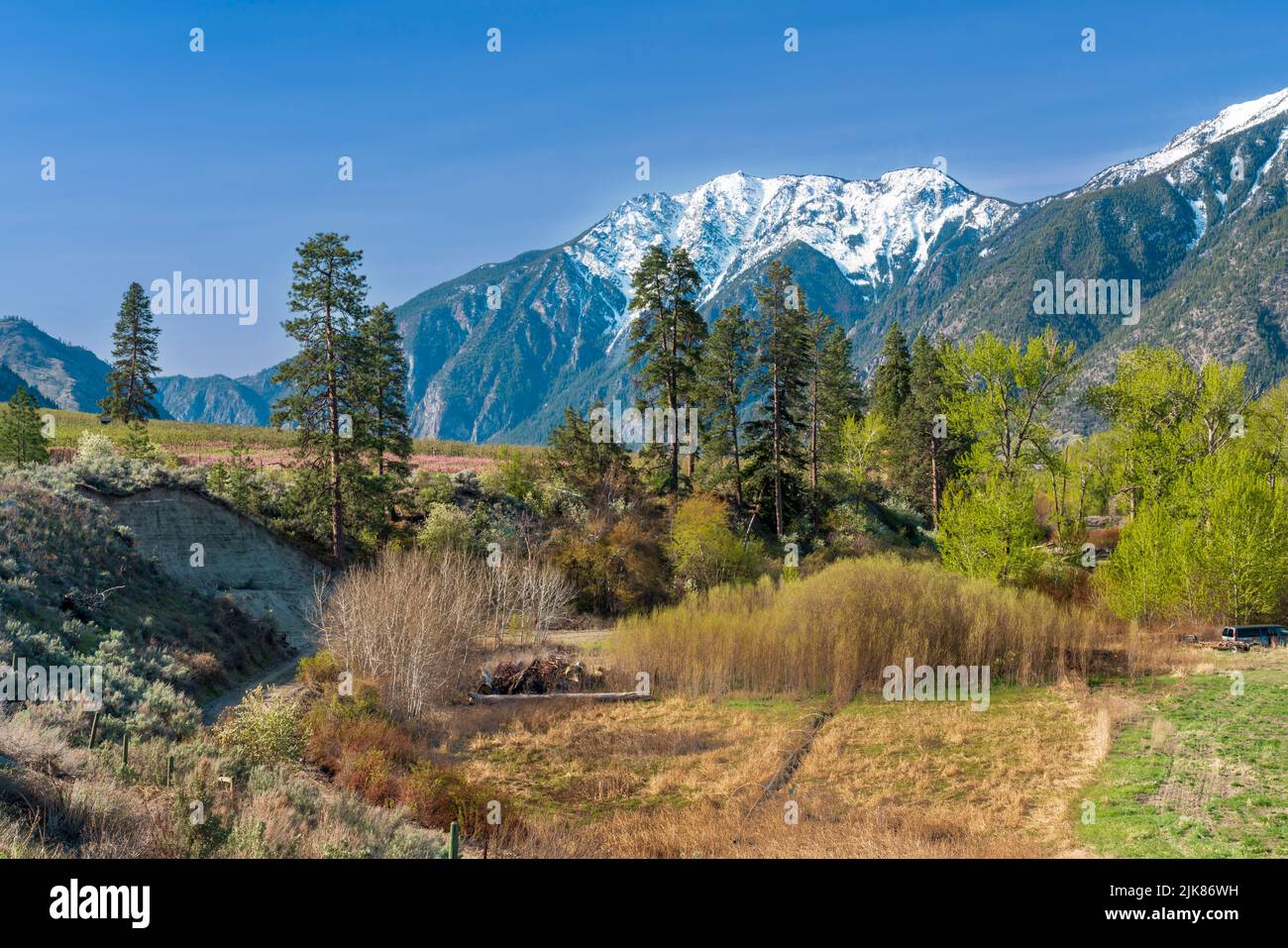 Old farm tractors in a pasture below Mount Chopaka, British Columbia ...