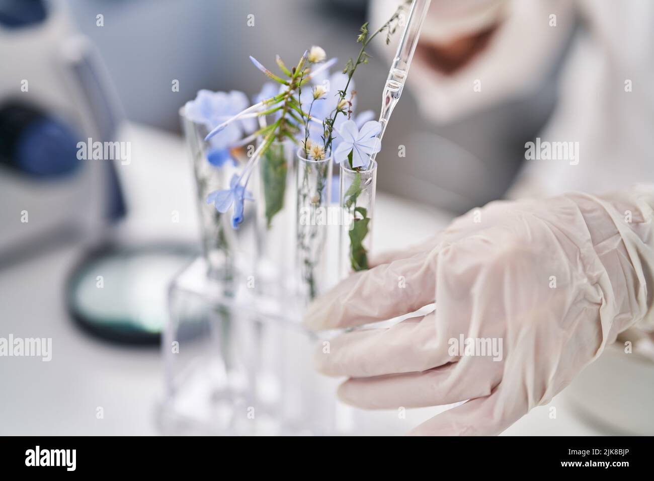 Middle age woman scientist pouring liquid on flowers at laboratory ...
