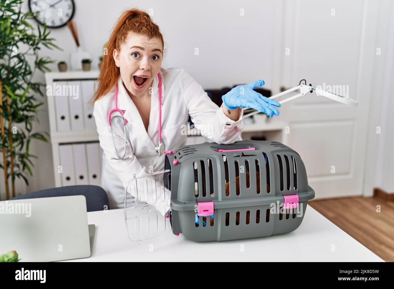 Young redhead veterinarian woman checking pet health celebrating ...