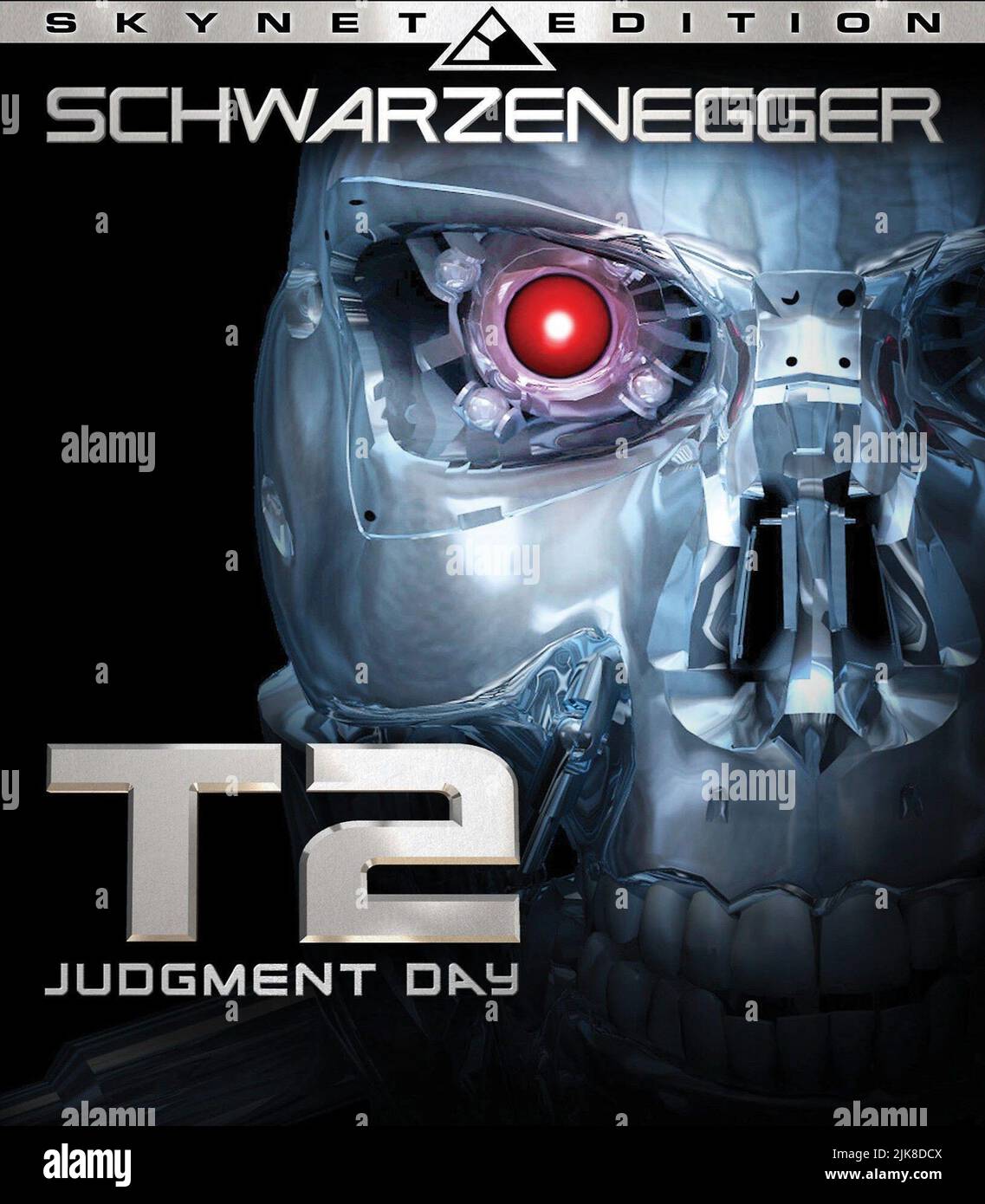 Terminator 2 Movie Poster