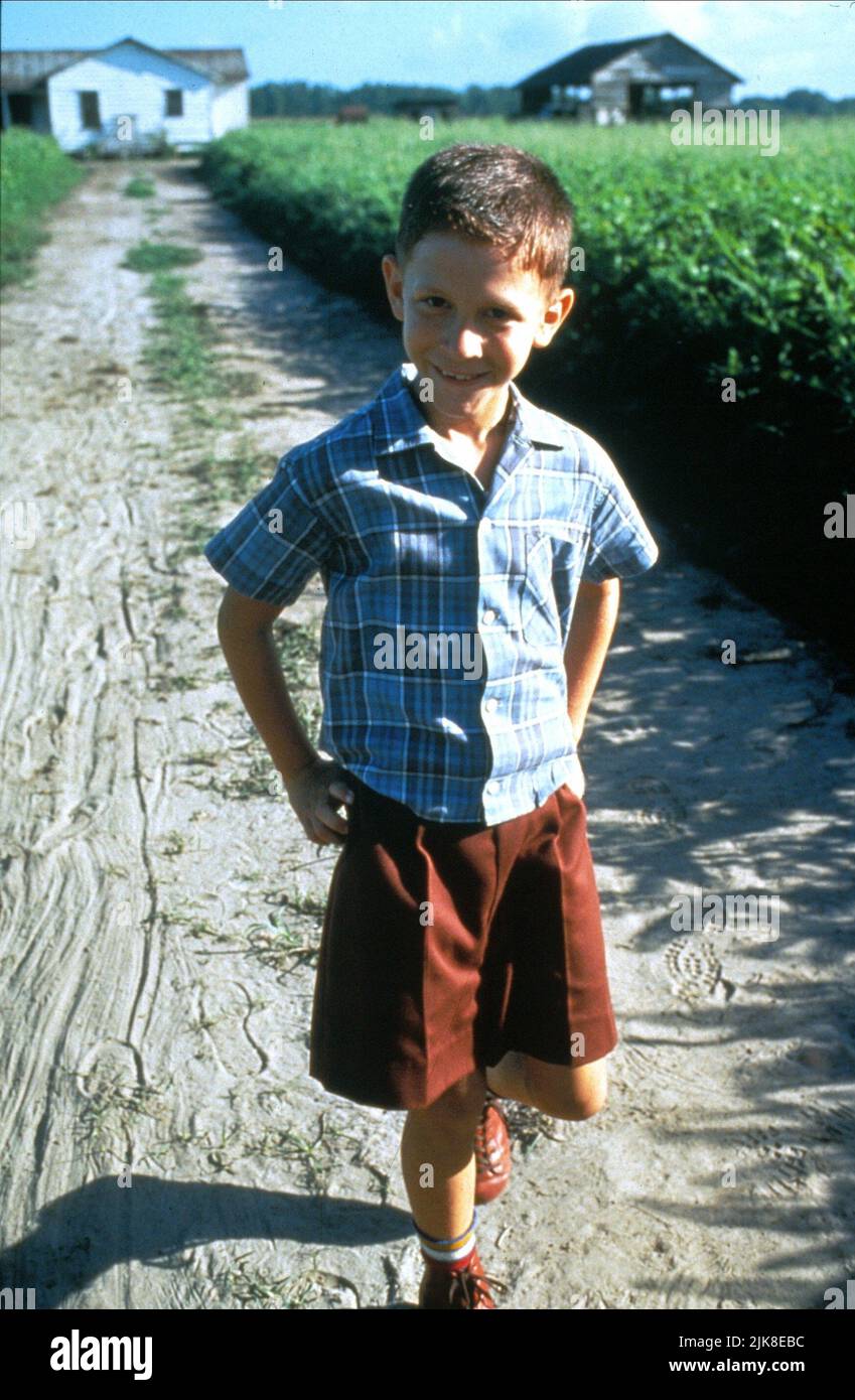 Michael Conner Humphreys Film Forrest Gump (USA 1994) Characters: Young ...