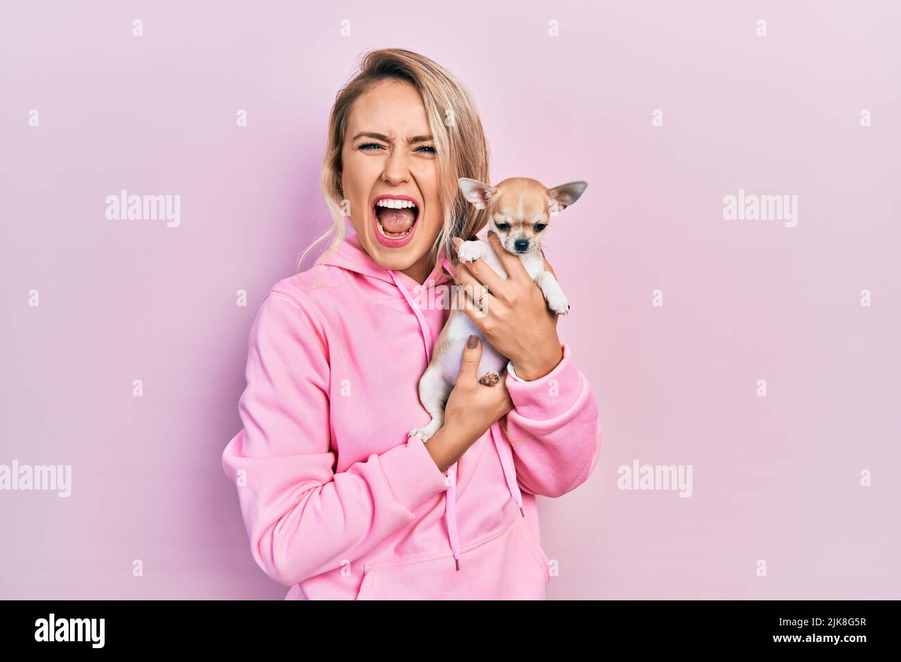Beautiful young blonde woman hugging cute chihuahua dog angry and mad ...