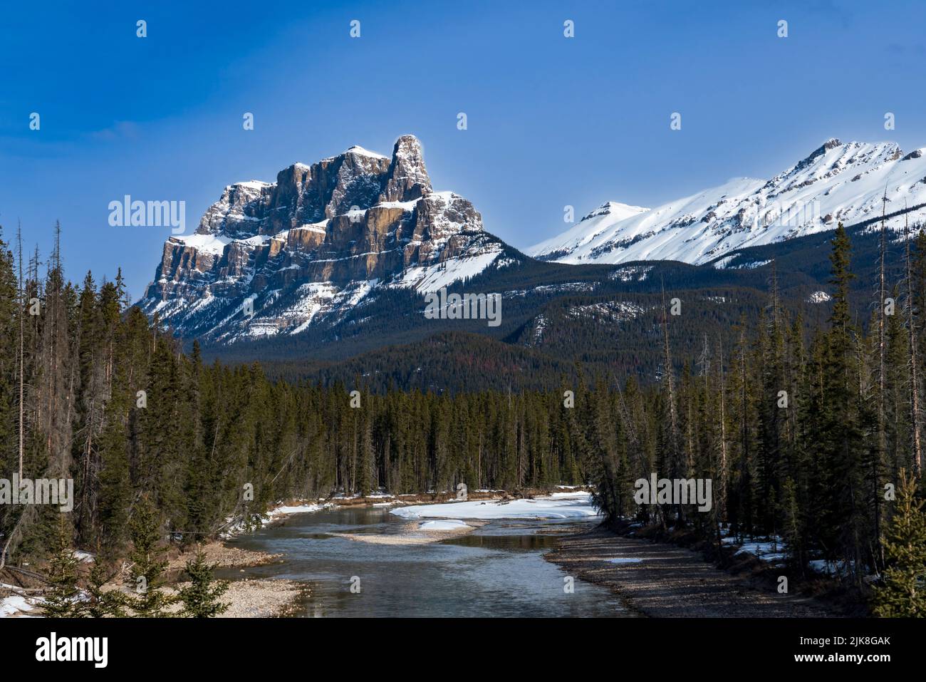 Castle Mountain and the Bow River in spring, Banff National Park ...