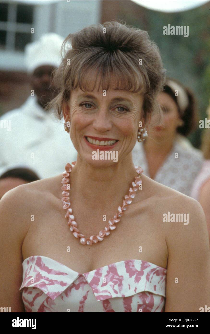 Carrie Snodgrass Film Blue Sky (USA 1994) Characters: Vera Johnson ...