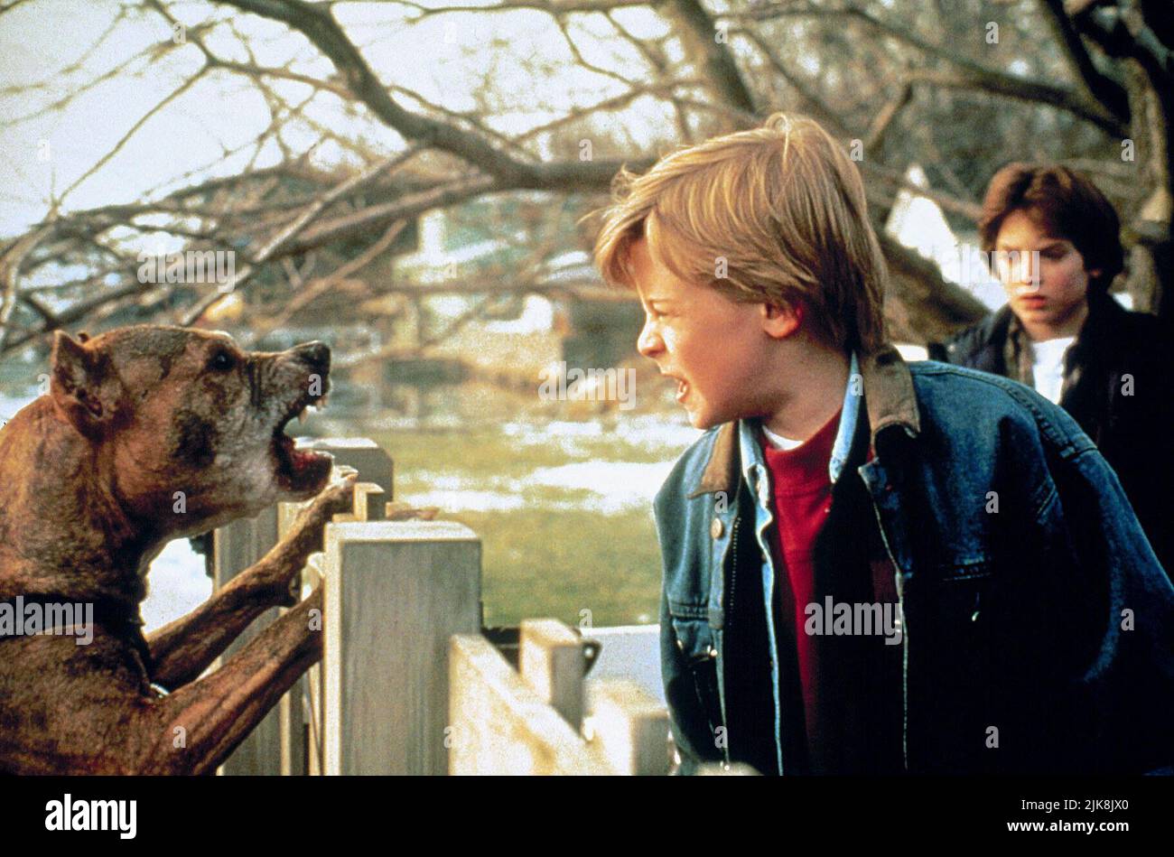 Macaulay Culkin & Elijah Wood Film The Good Son (USA 1993) Characters ...
