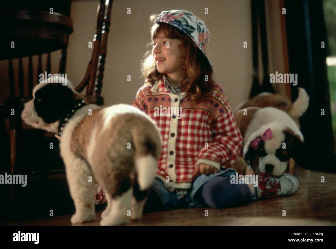 Beethoven's 2nd dogs pets hi-res stock photography and images - Alamy