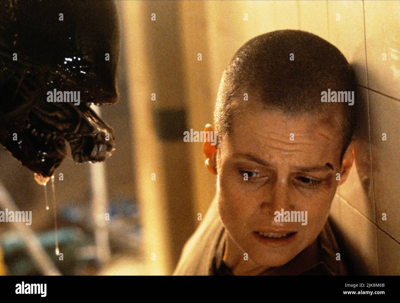Sigourney Weaver Film Alien 3 (USA 1992) Director: David Fincher 22 May 1992 **WARNING** This ...