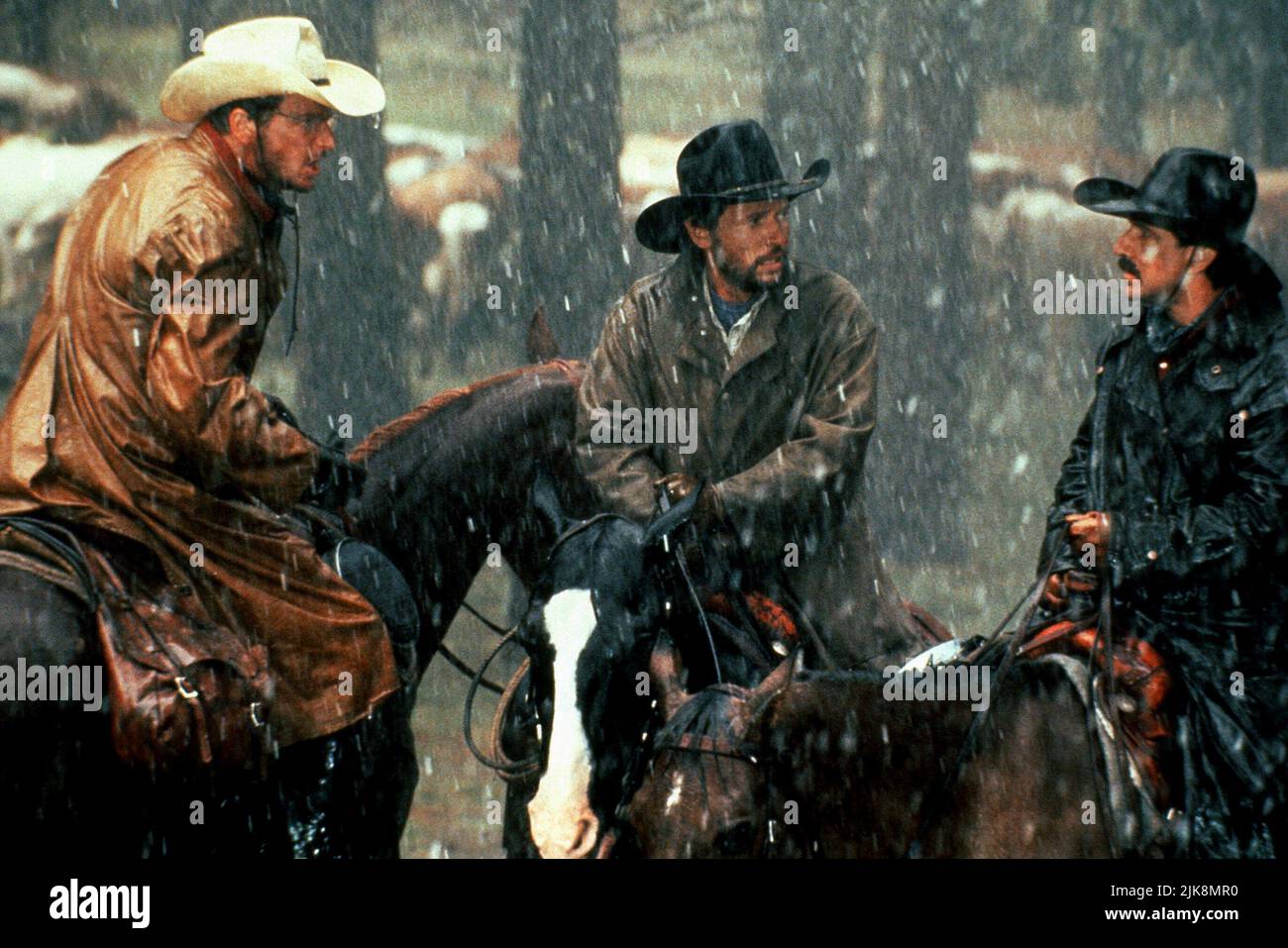 Daniel Stern, Billy Crystal & Bruno Kirby Film: City Slickers (USA 1991 ...