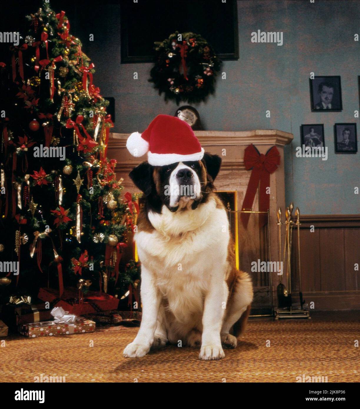 Beethoven Film Beethoven'S 2nd (USA 1993) Director: Rod Daniel 15 ...