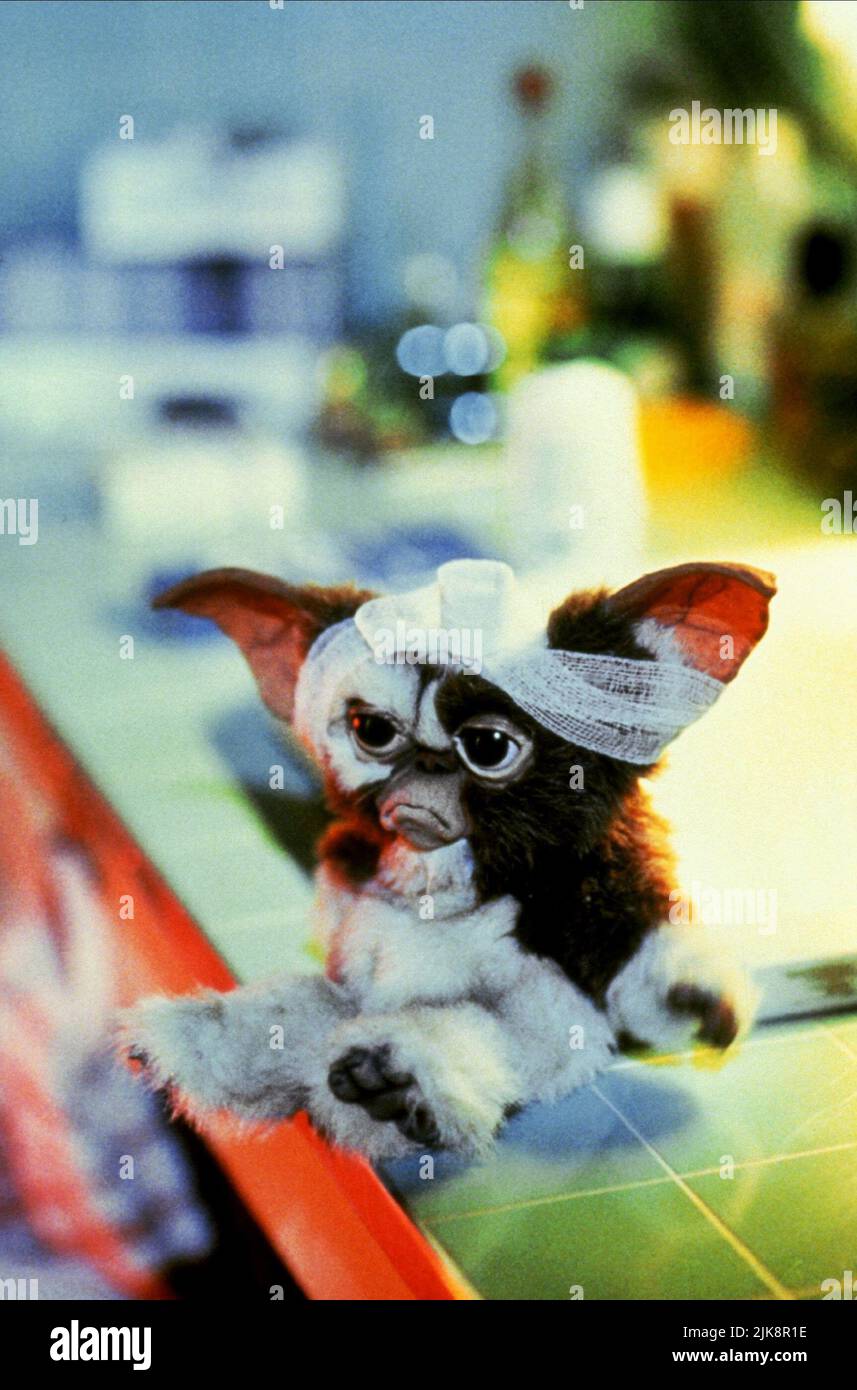 Gremlins 2 Gizmo Sad