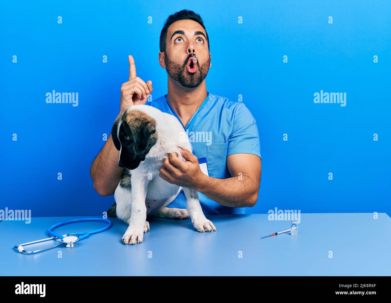 Handsome hispanic veterinary man with beard checking dog health amazed ...