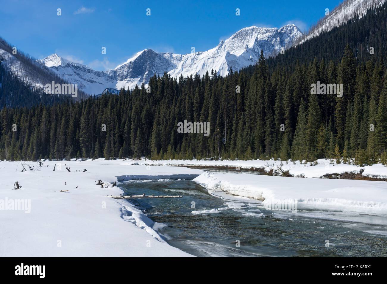 A mountain scenic view along Highway 93 South in Kootenay National Park ...