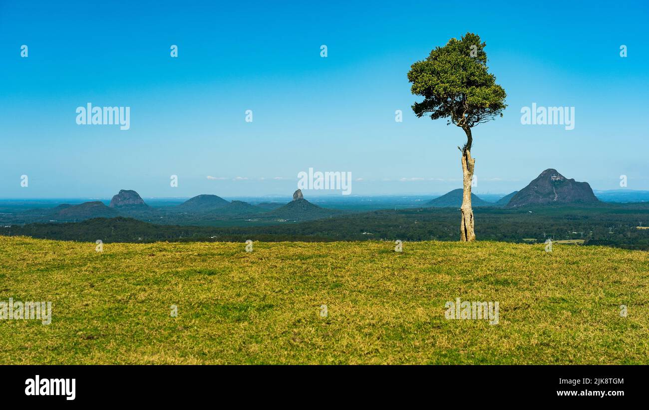 One Tree Hill lookout with Glass House mountain range in the background ...