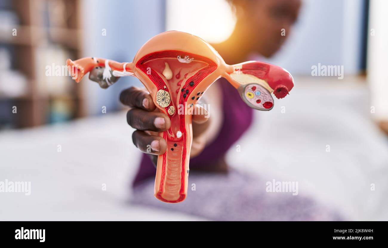 African american woman holding anatomical model of fallopian tube at ...