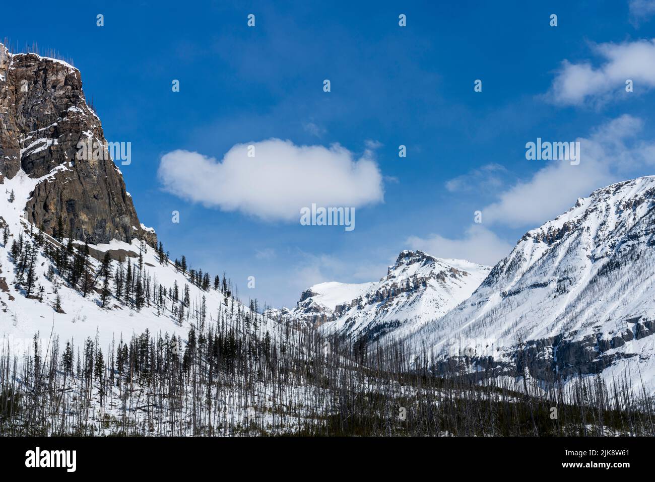 A mountain scenic view along Highway 93 South in Kootenay National Park ...