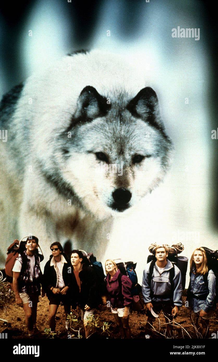 David Mccoy, Mark-Paul Gosselaar, Ami Dolenz, Amy O'Neill, Marc Riffon ...