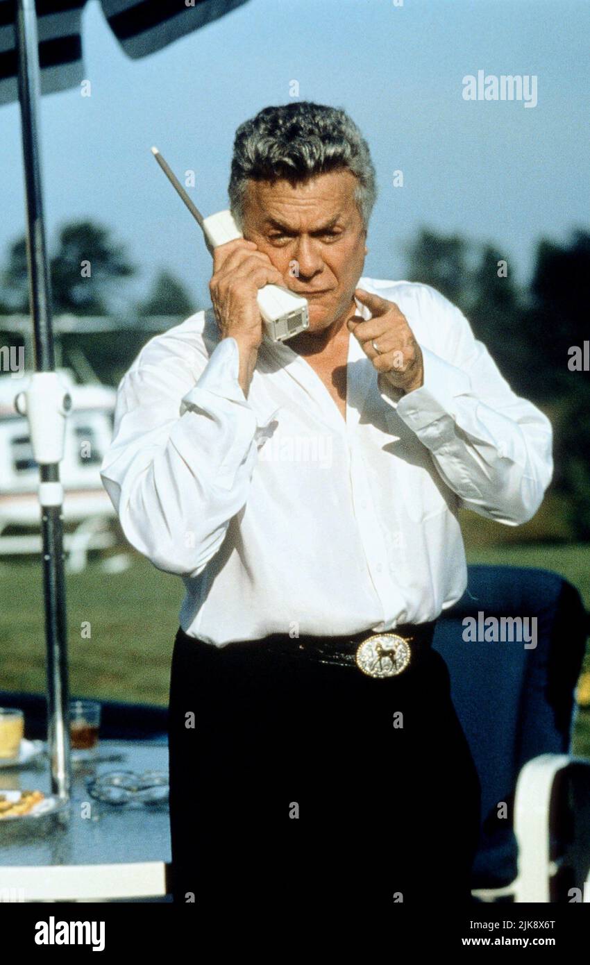 Tony Curtis Television: Bandit: Beauty And The Bandit (1994) Characters ...