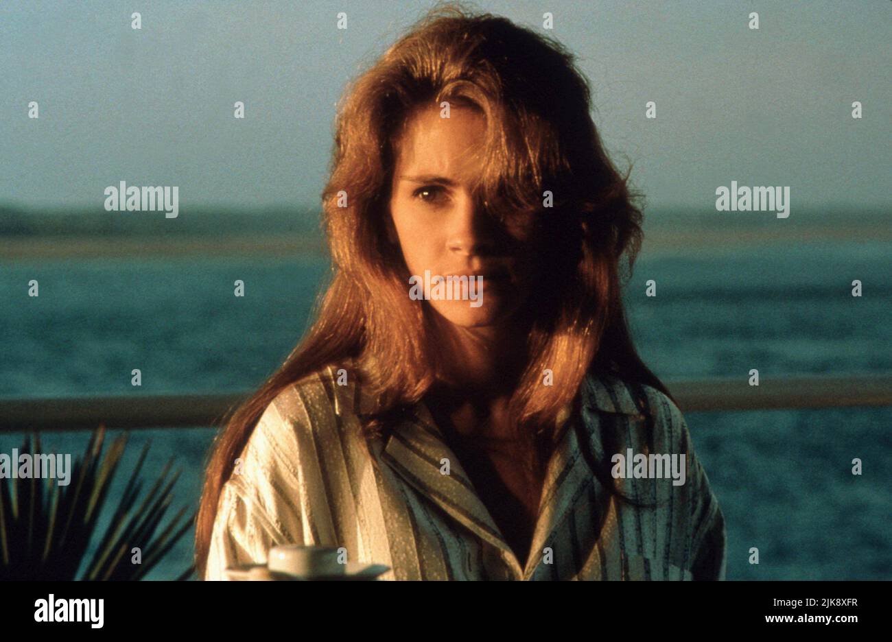 Julia Roberts Film Sleeping With The Enemy (1991) Characters: Laura ...