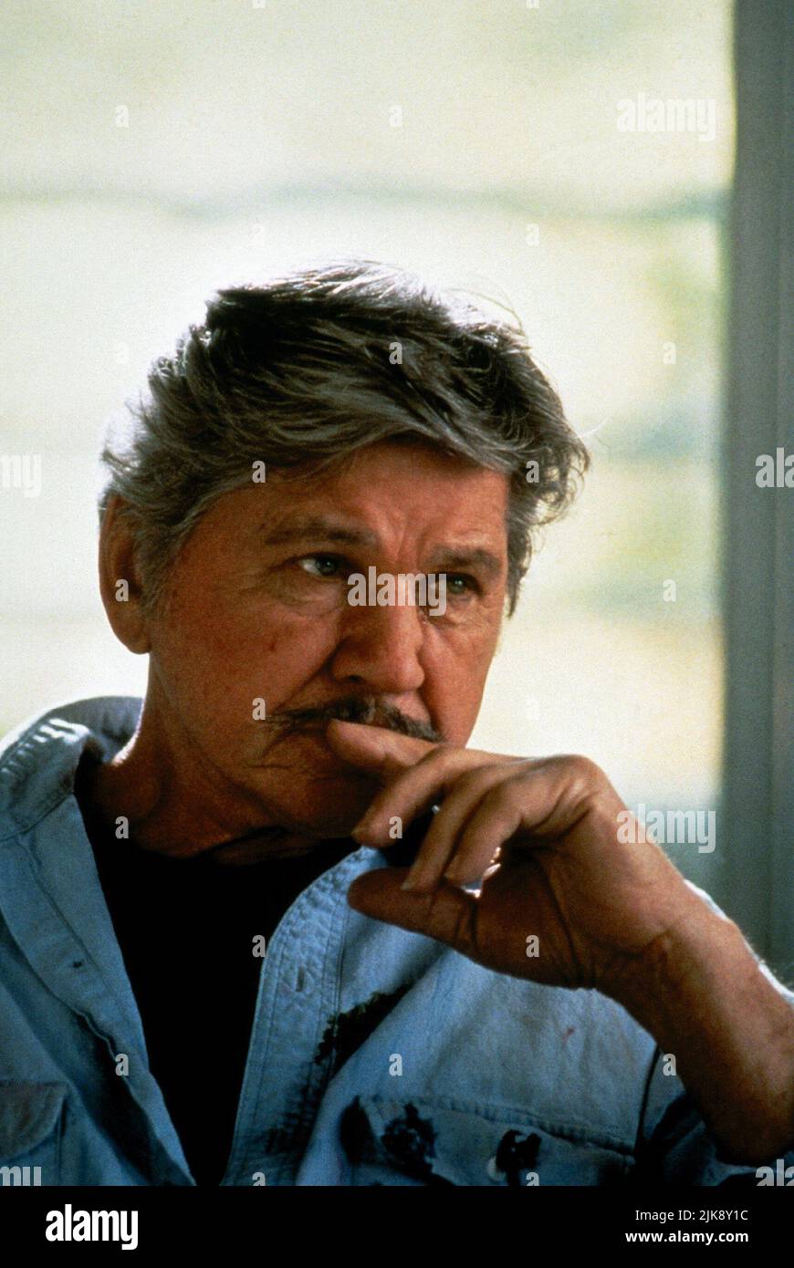 Charles Bronson Film: Under Threat: Donato And Daughter (1993 ...