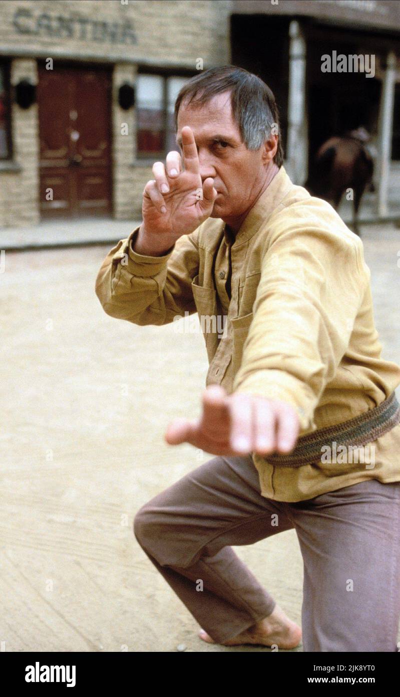 David Carradine Television: Kung Fu: The Legend Continues (1993 ...