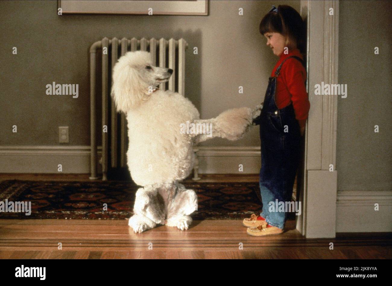 Tabitha Lupien Film: Look Who'S Talking Now (USA 1993) Characters: Julie Ubriacco Director: Tom ...