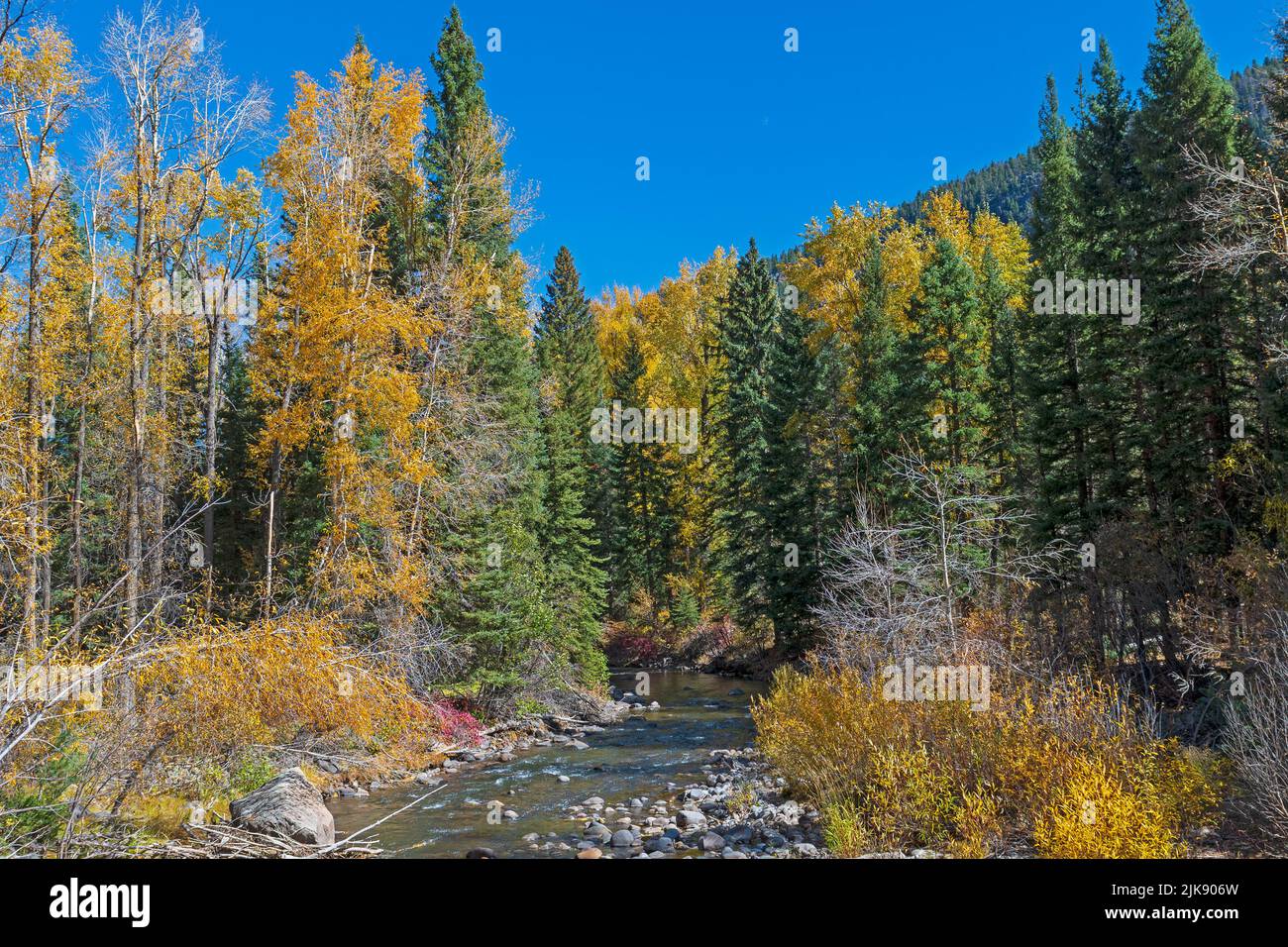 Fall Colors on a Rocky Mountain Stream near Pagosa Springs Colorado ...
