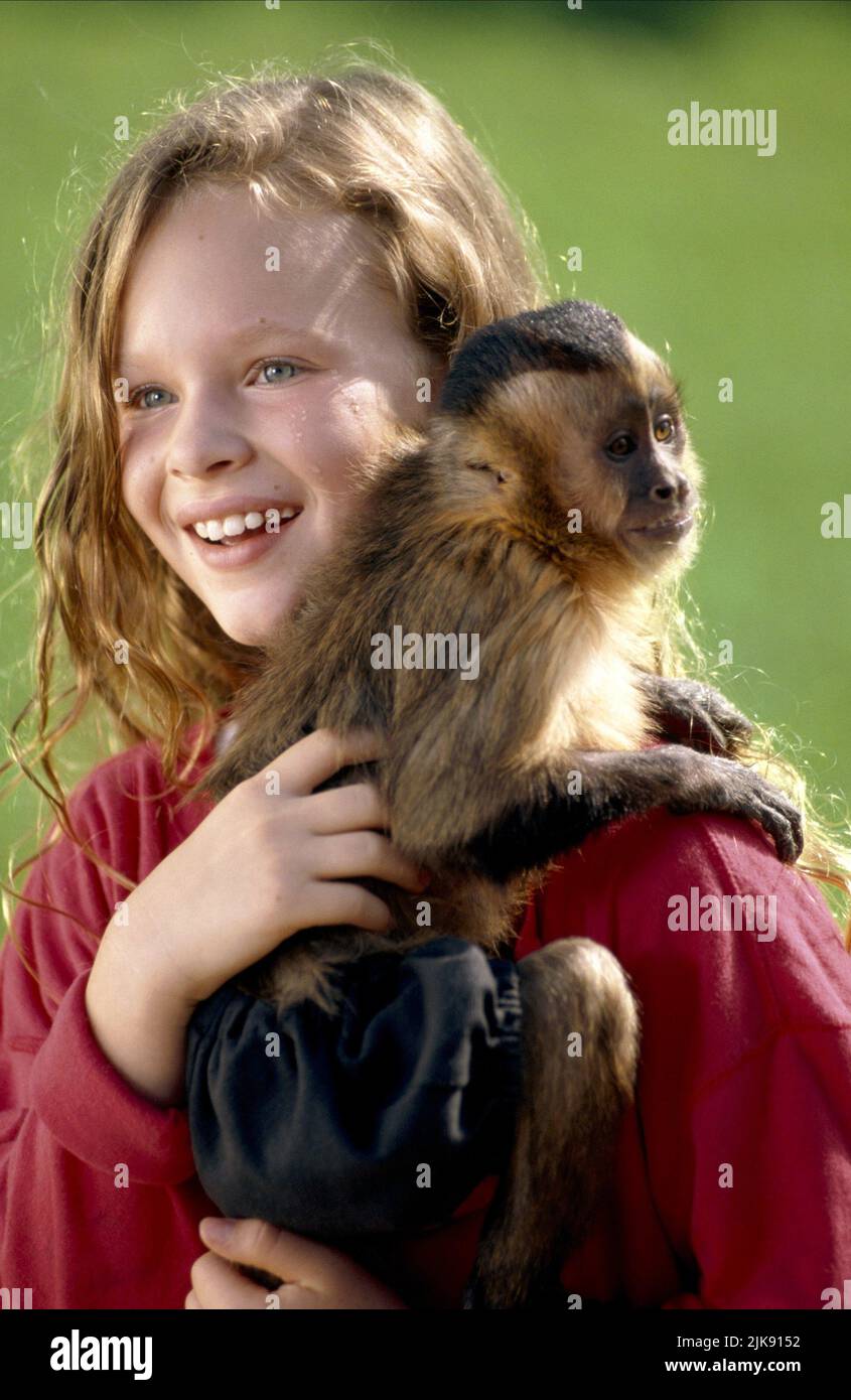 Dodger monkey hi-res stock photography and images - Alamy