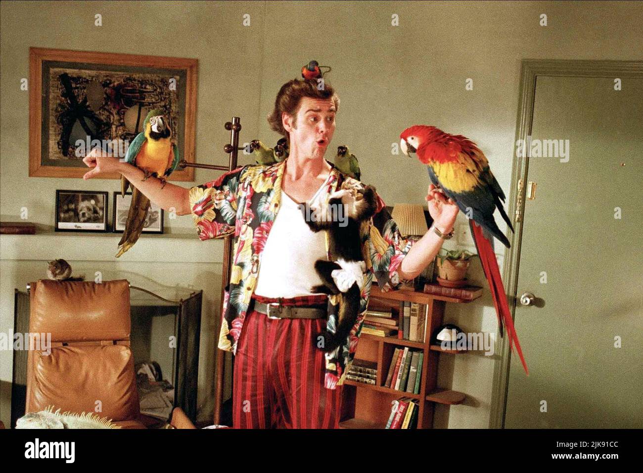 Jim Carrey & Parrots Film Ace Ventura: Pet Detective (USA 1994 ...