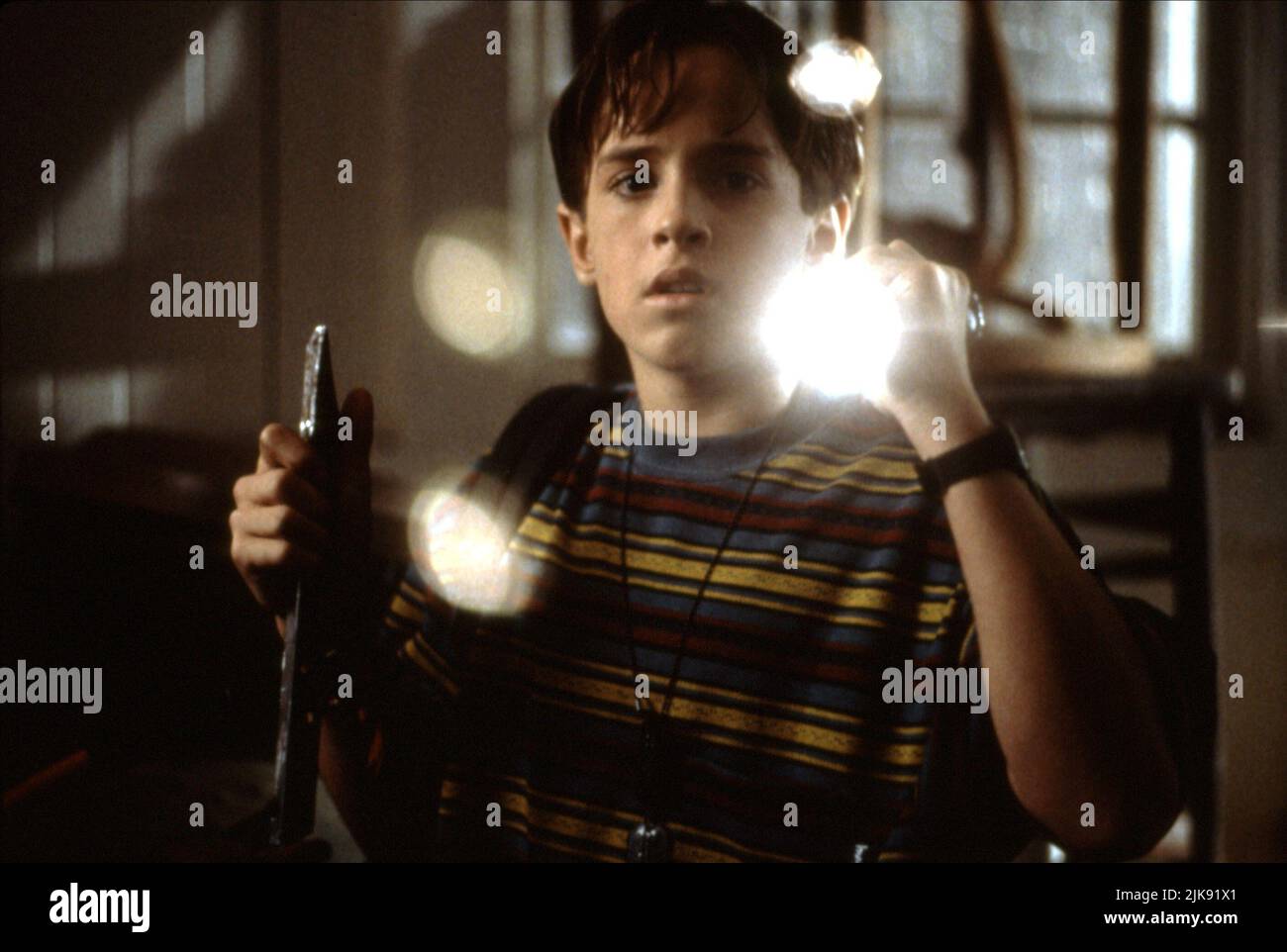 Wil Horneff Film Ghost In The Machine (1993) Characters: Josh Munroe Director: Rachel Talalay 29 ...