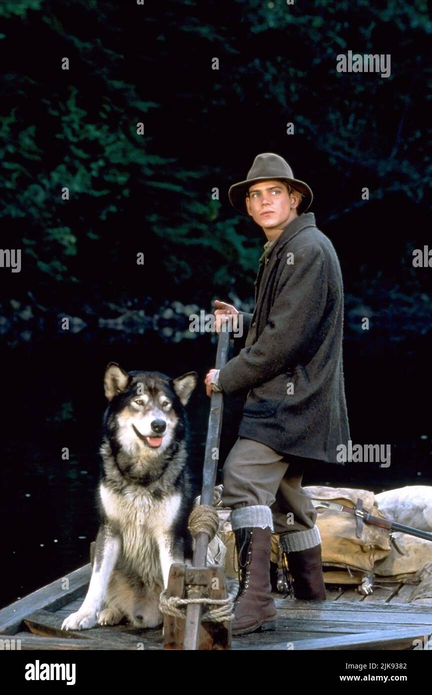 White fang disney hi-res stock photography and images - Alamy