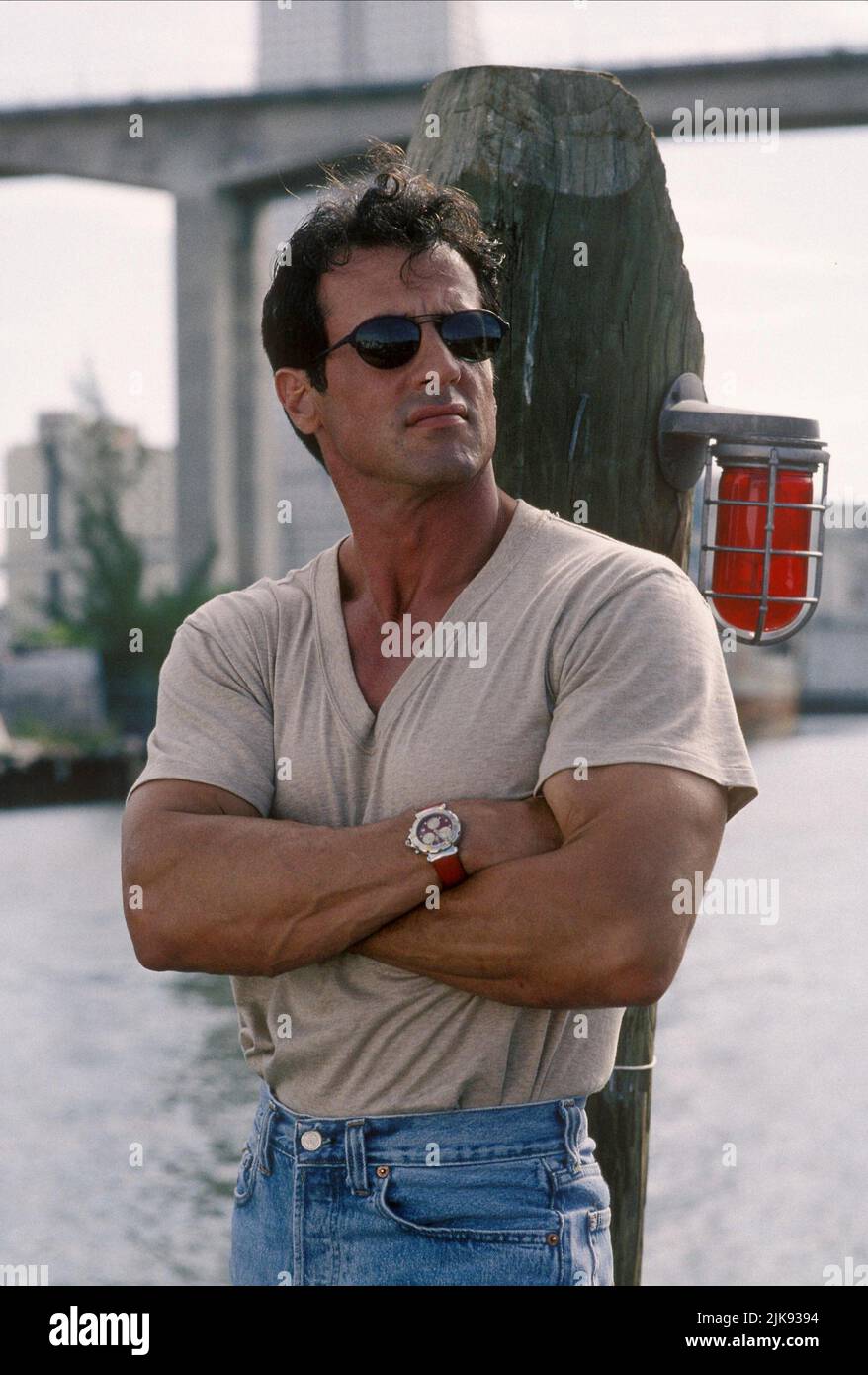 Sylvester Stallone Film The Specialist (1994) Characters: Ray Quick ...