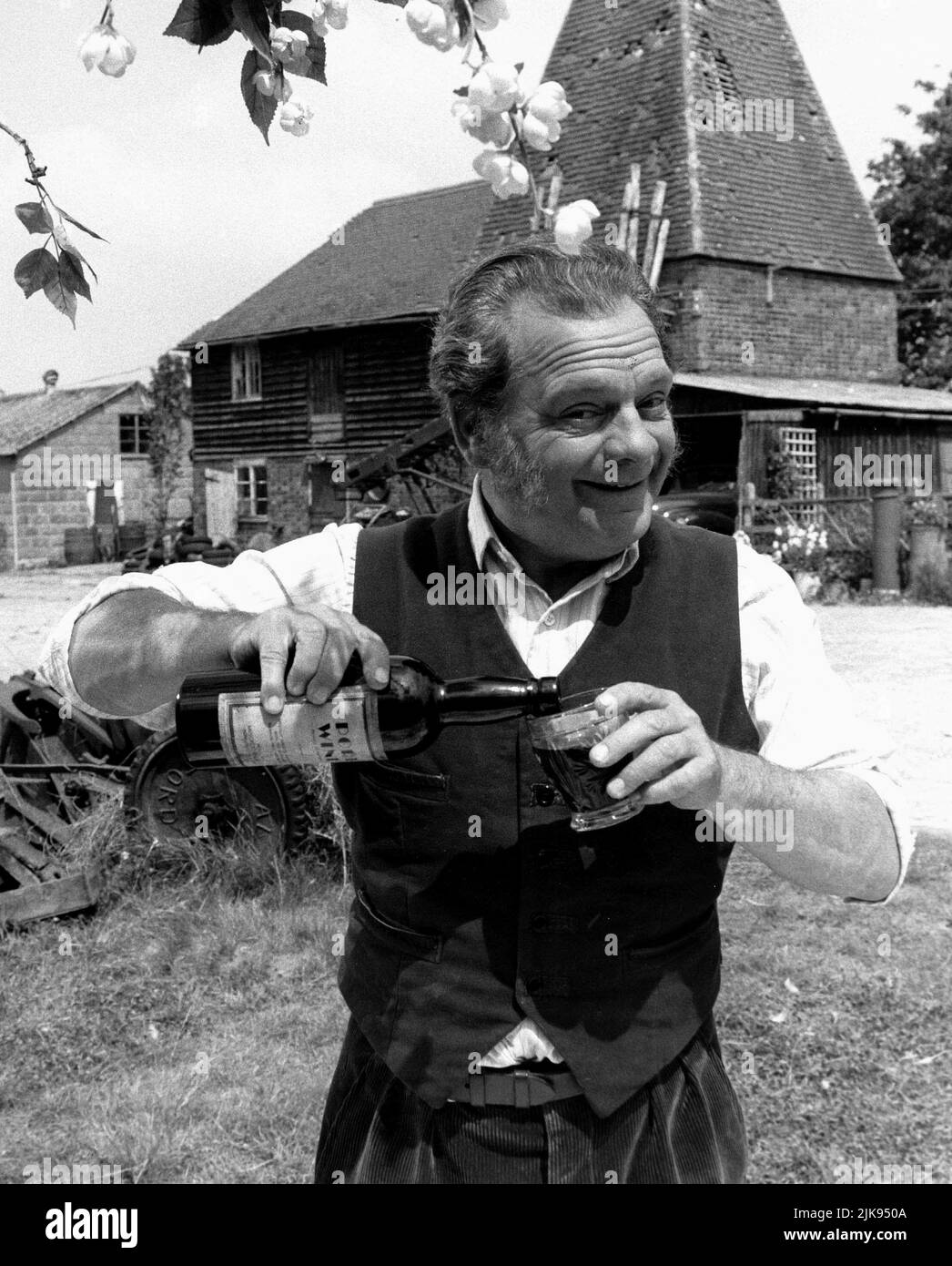 David Jason Television: The Darling Buds Of May (1992) Characters: Pop ...