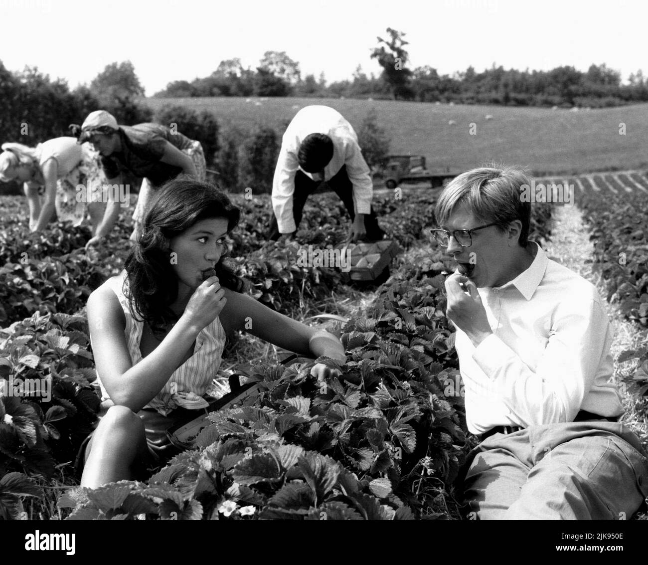 Catherine zeta jones darling buds hi-res stock photography and images ...