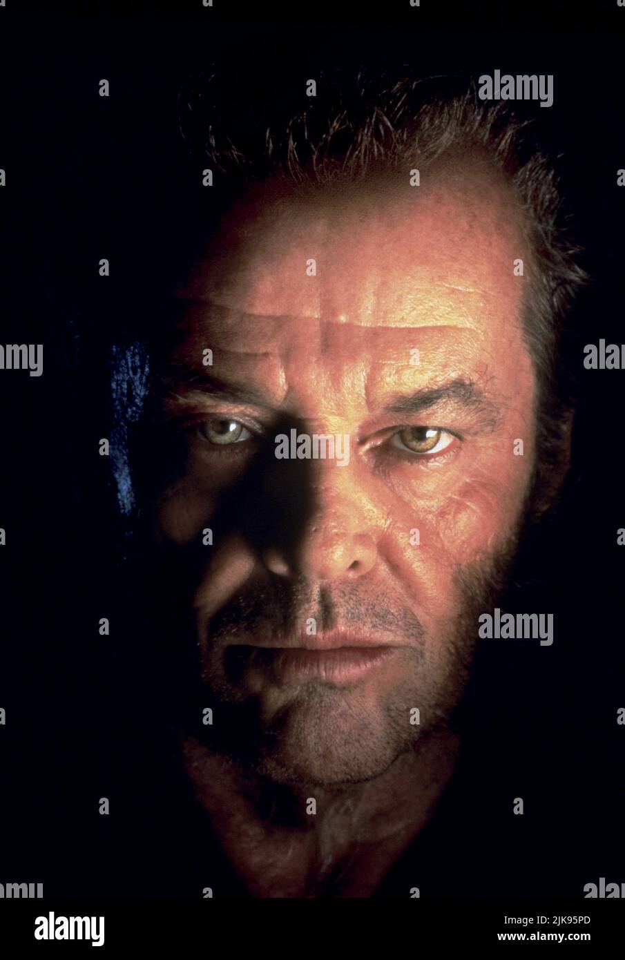 Jack Nicholson Film Wolf (USA 1994) Characters: Will Randall Director ...