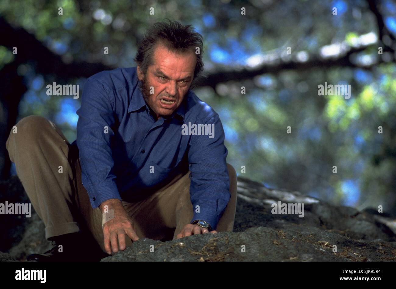 Jack Nicholson Film Wolf (USA 1994) Characters: Will Randall Director ...