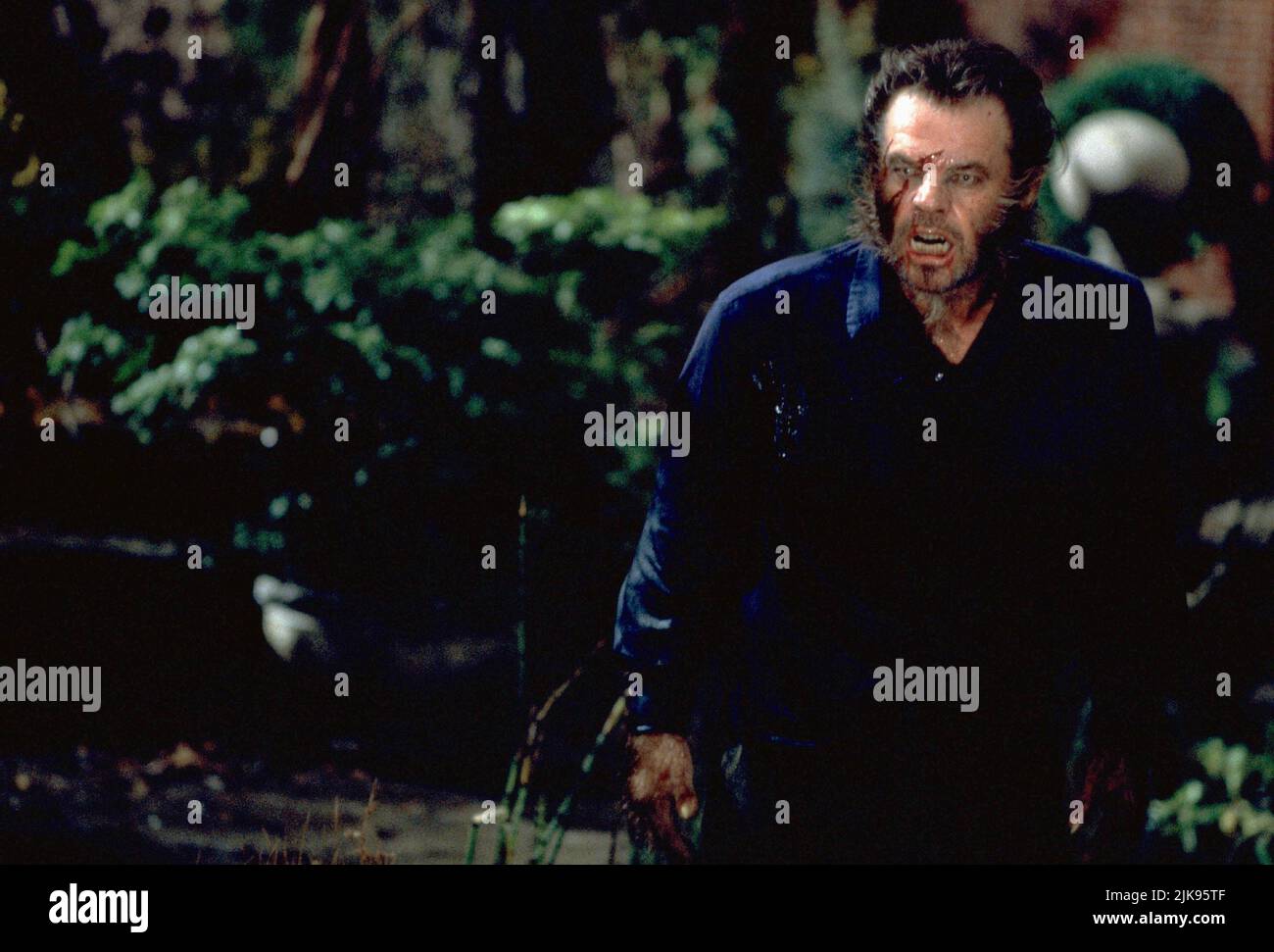 Jack Nicholson Film Wolf (USA 1994) Characters: Will Randall Director ...