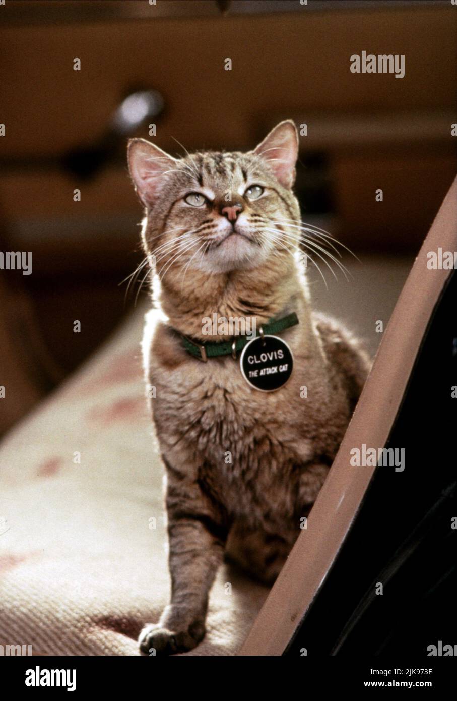 Clovis Film: Sleepwalkers (USA 1992) / Titel Auch: "Stephen Kings ...