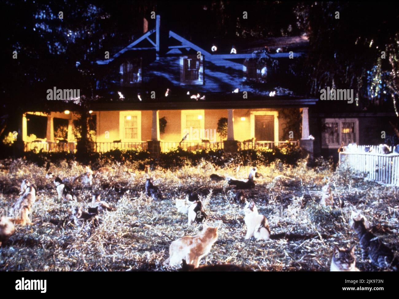 Movie Scene Film: Sleepwalkers (USA 1992) / Titel Auch: "Stephen Kings ...