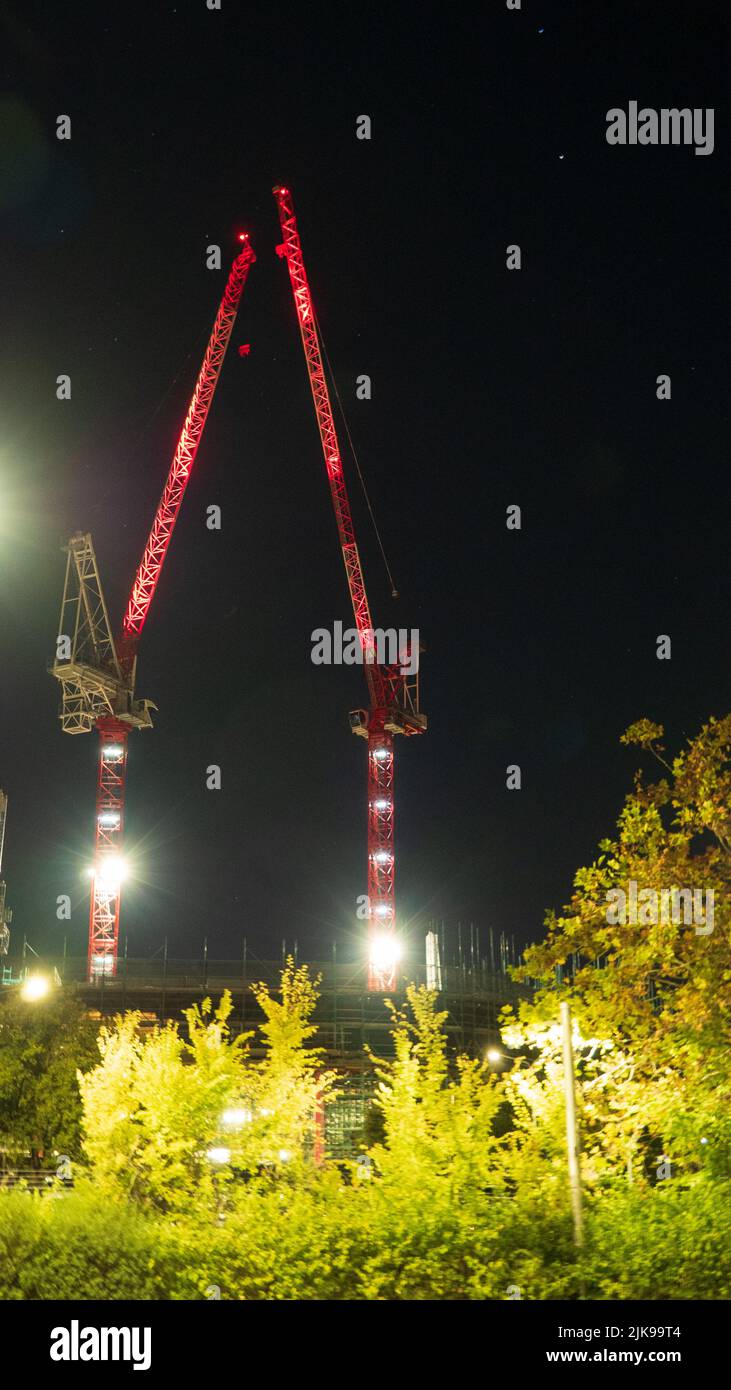 Two cranes meet in the night, red and white crane, nighttime sky, trees ...