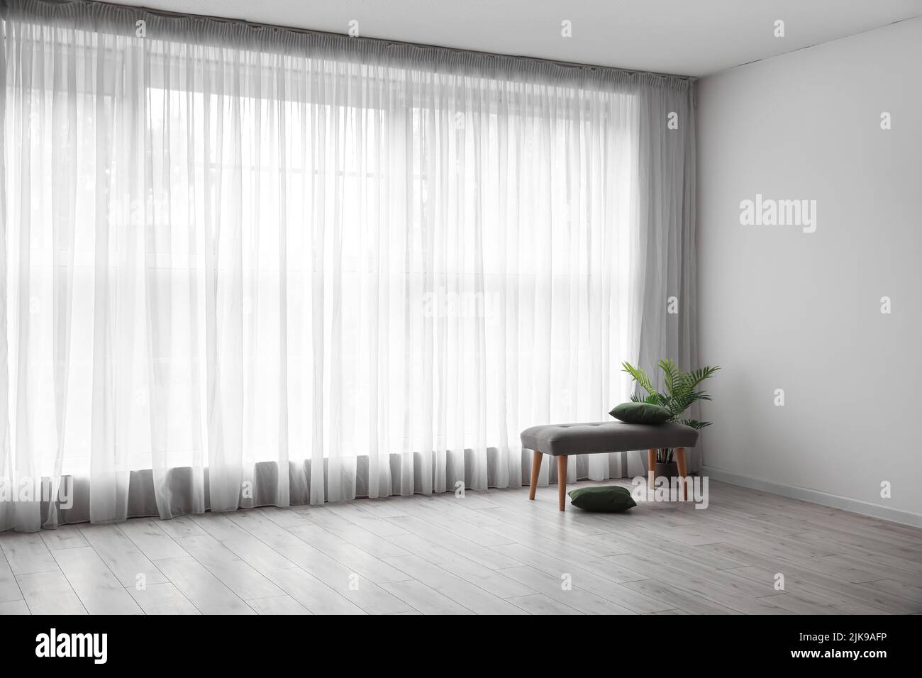 Soft bench with cushions and houseplant near light curtain in living ...
