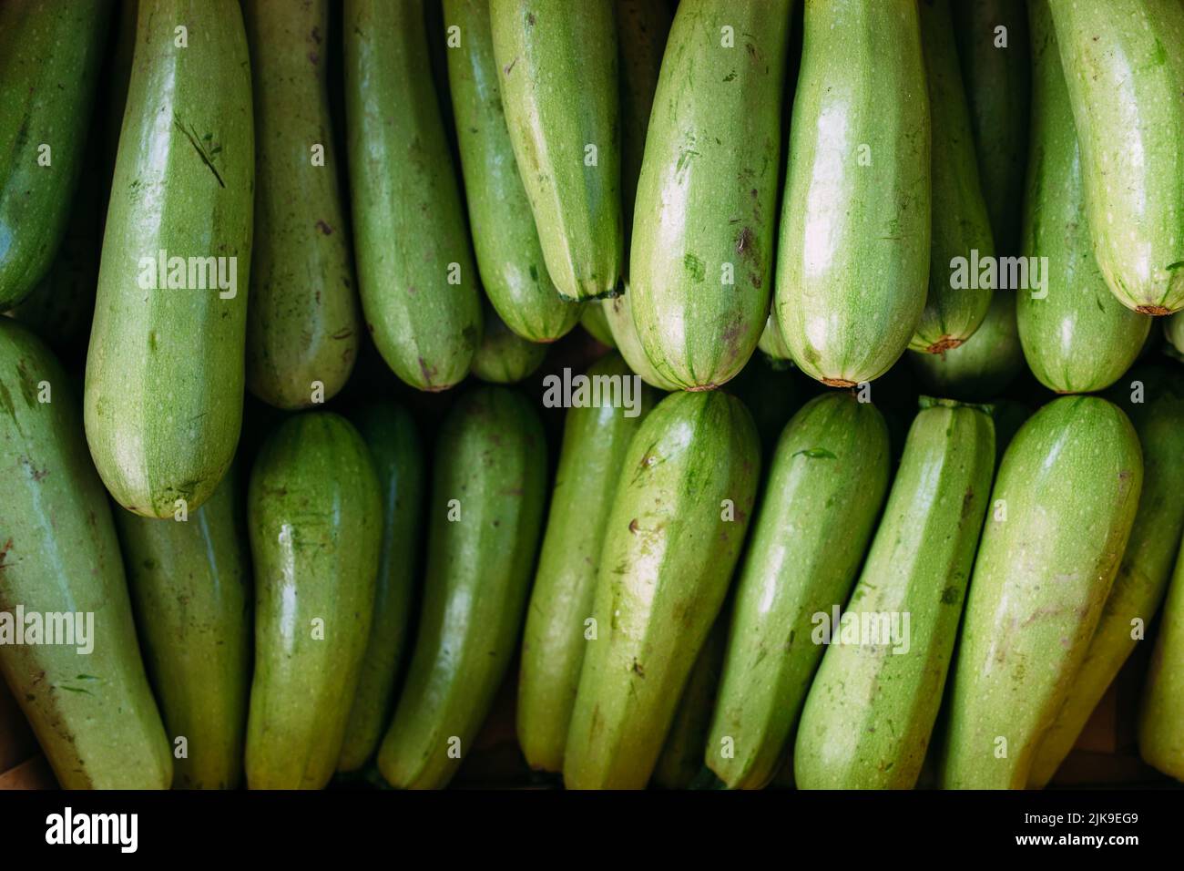 Lots of green zucchini at the farmers' market Stock Photo - Alamy