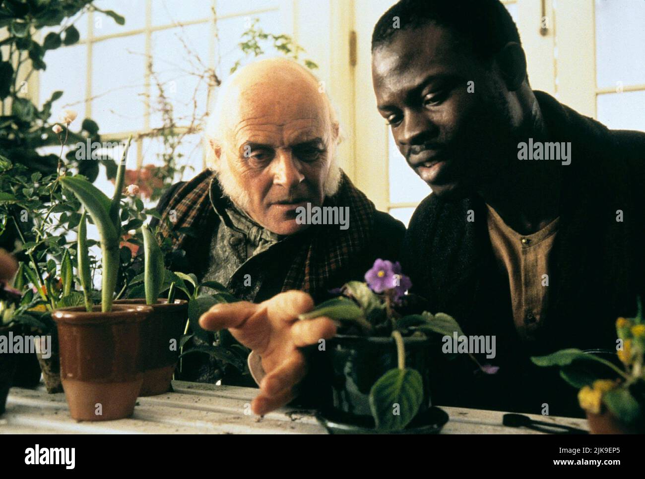 Amistad amistad cinque djimon hounsou hi-res stock photography and ...