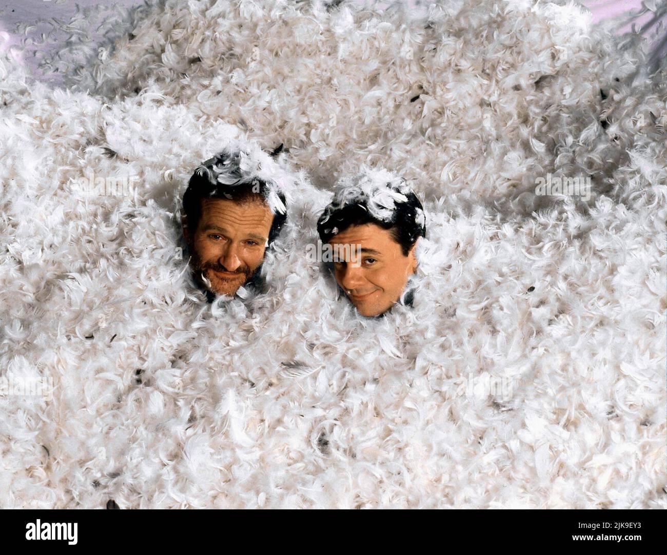 Robin Williams & Nathan Lane Film: The Birdcage (1996) Characters ...