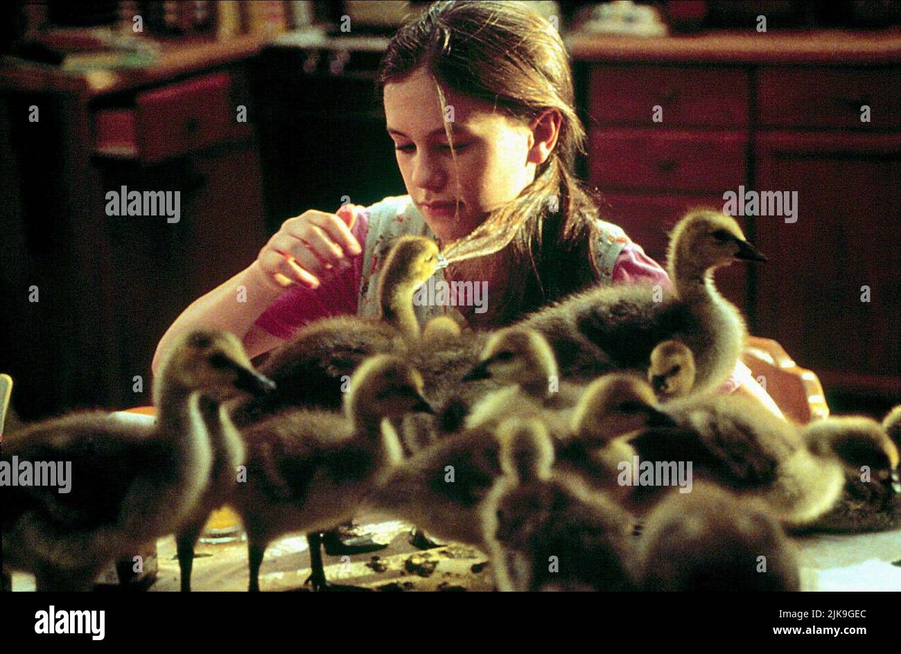 Anna Paquin & Geese Film: Fly Away Home (1996) Characters: Amy Alden ...