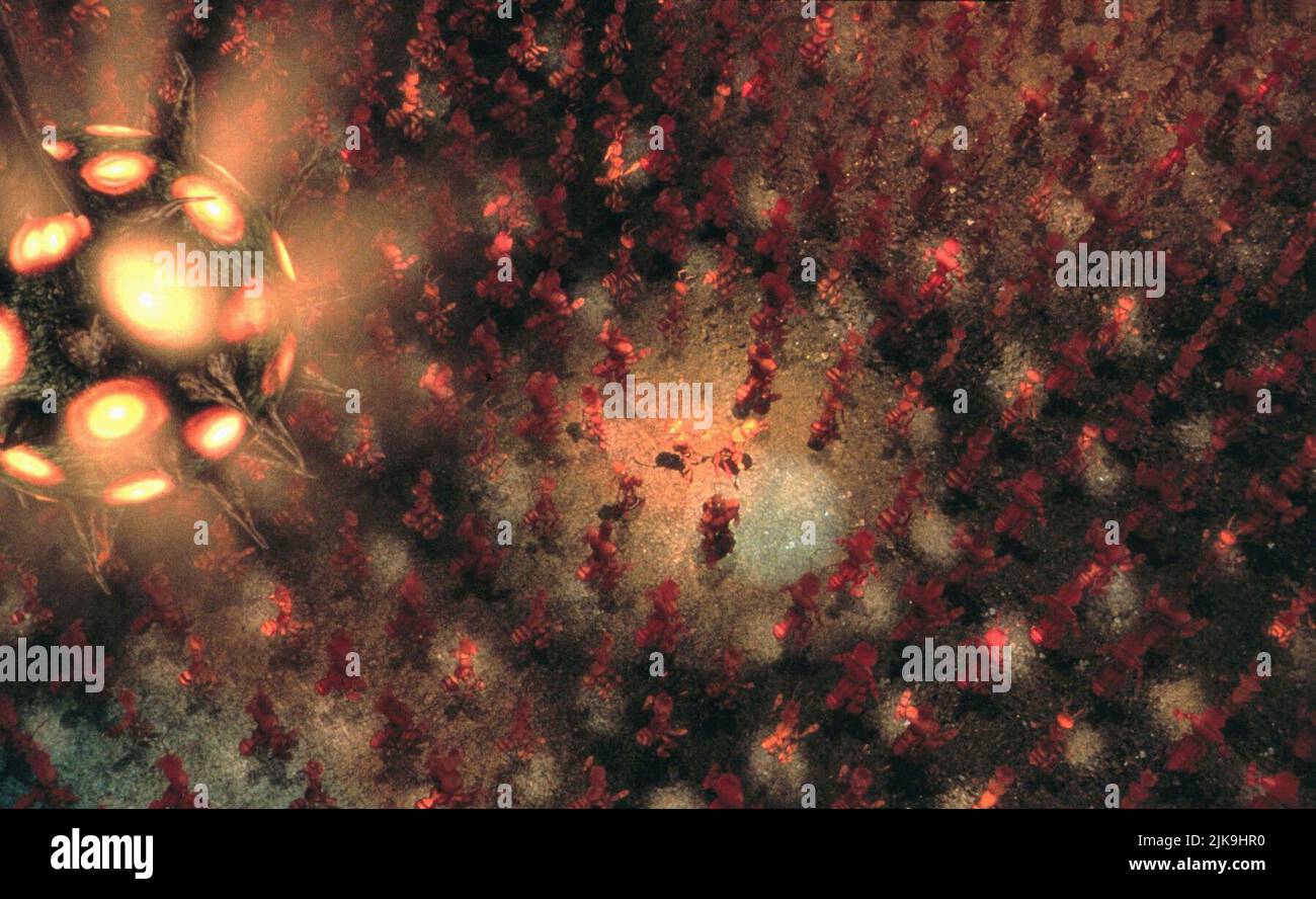 General Scene Film Antz (1998) Director: Eric Darnell & Tim Johnson 19 ...