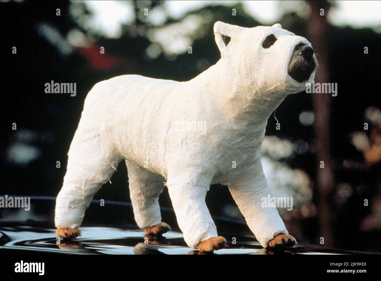 Dog in plaster cast hi-res stock photography and images - Alamy