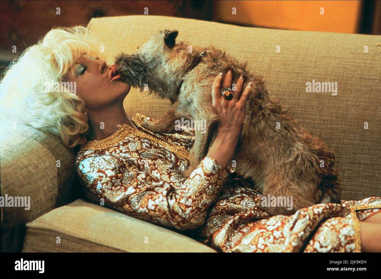 Theres Something About Mary Dog