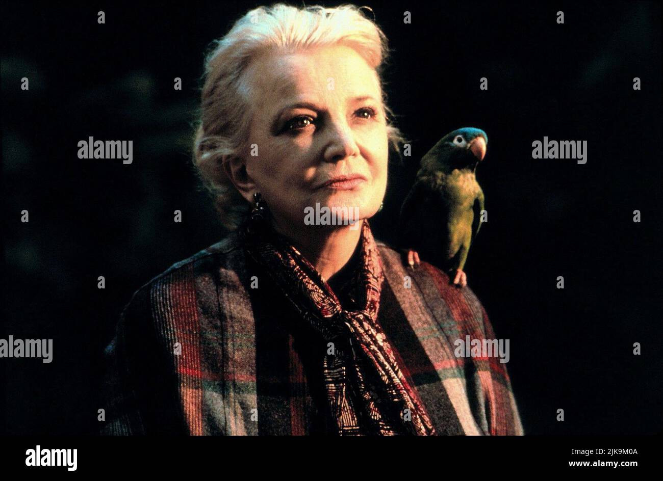 Gena Rowlands & Paulie Film Paulie (1998) Characters: Ivy & Director ...
